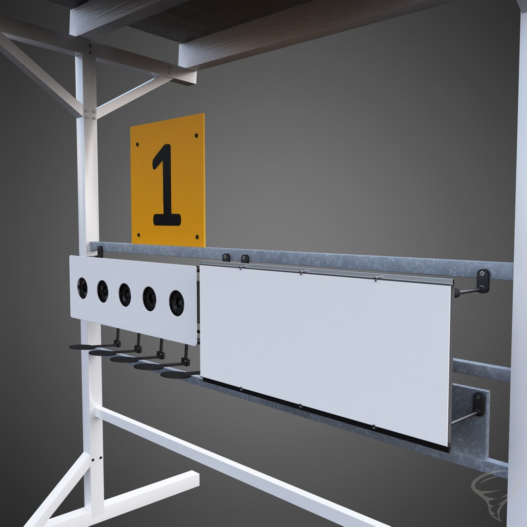 Biathlon Target Max
