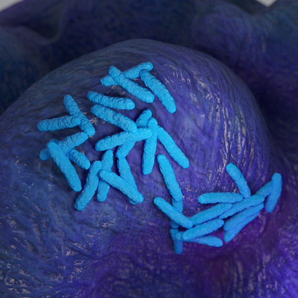 Bacteria 3D Models for Download | TurboSquid