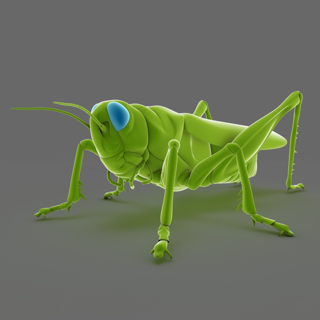 3d Grasshopper
