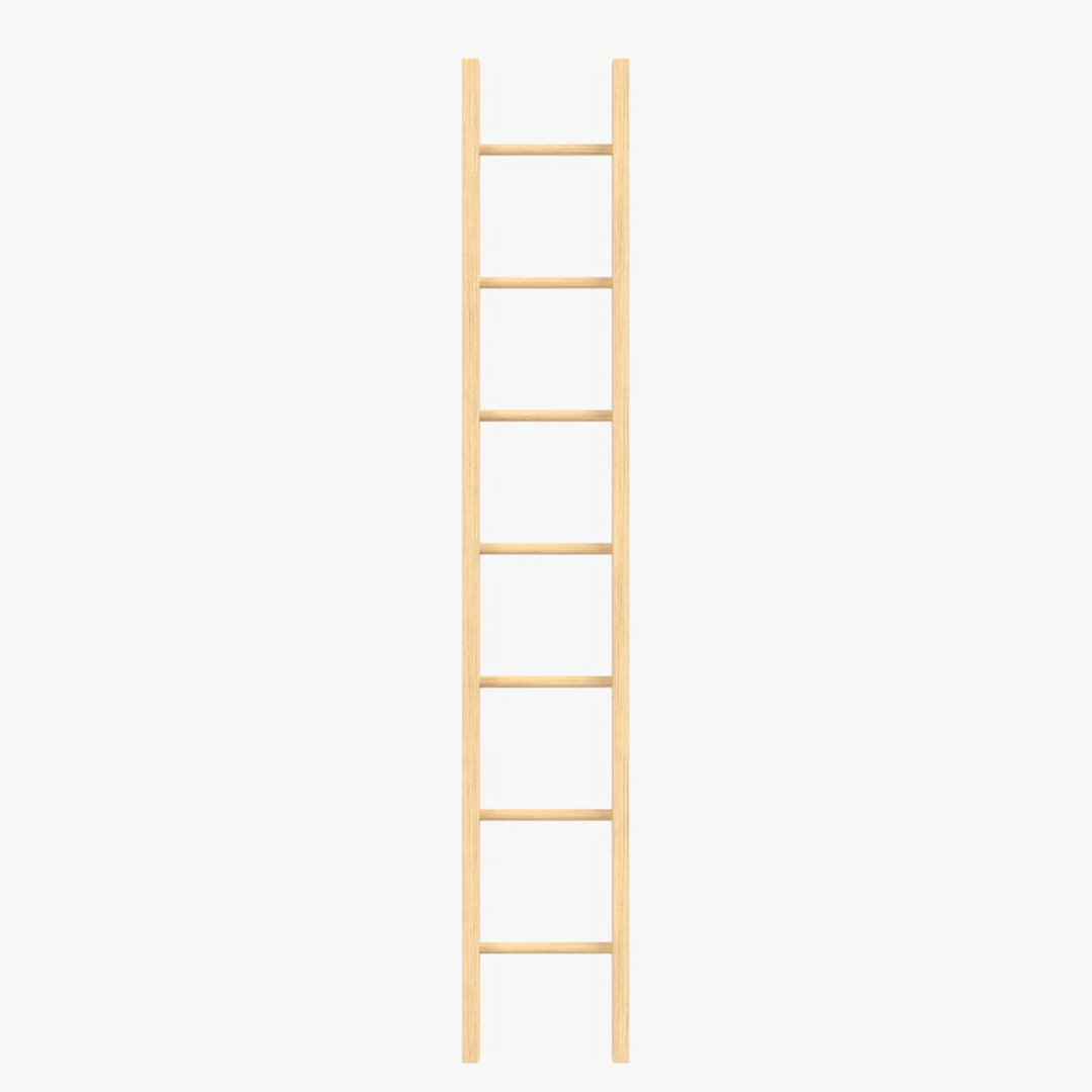 3D Model Single Straight Wood Ladder - TurboSquid 1416525