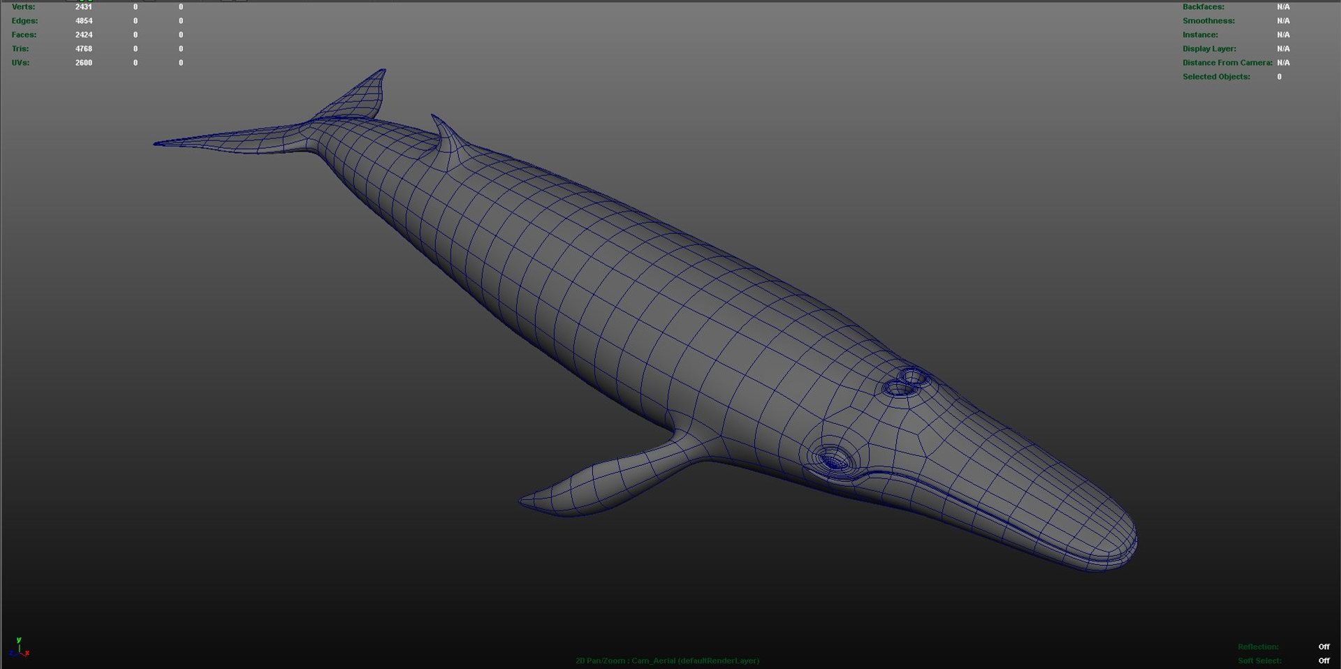 Balaenoptera Whale Fin 3d Model