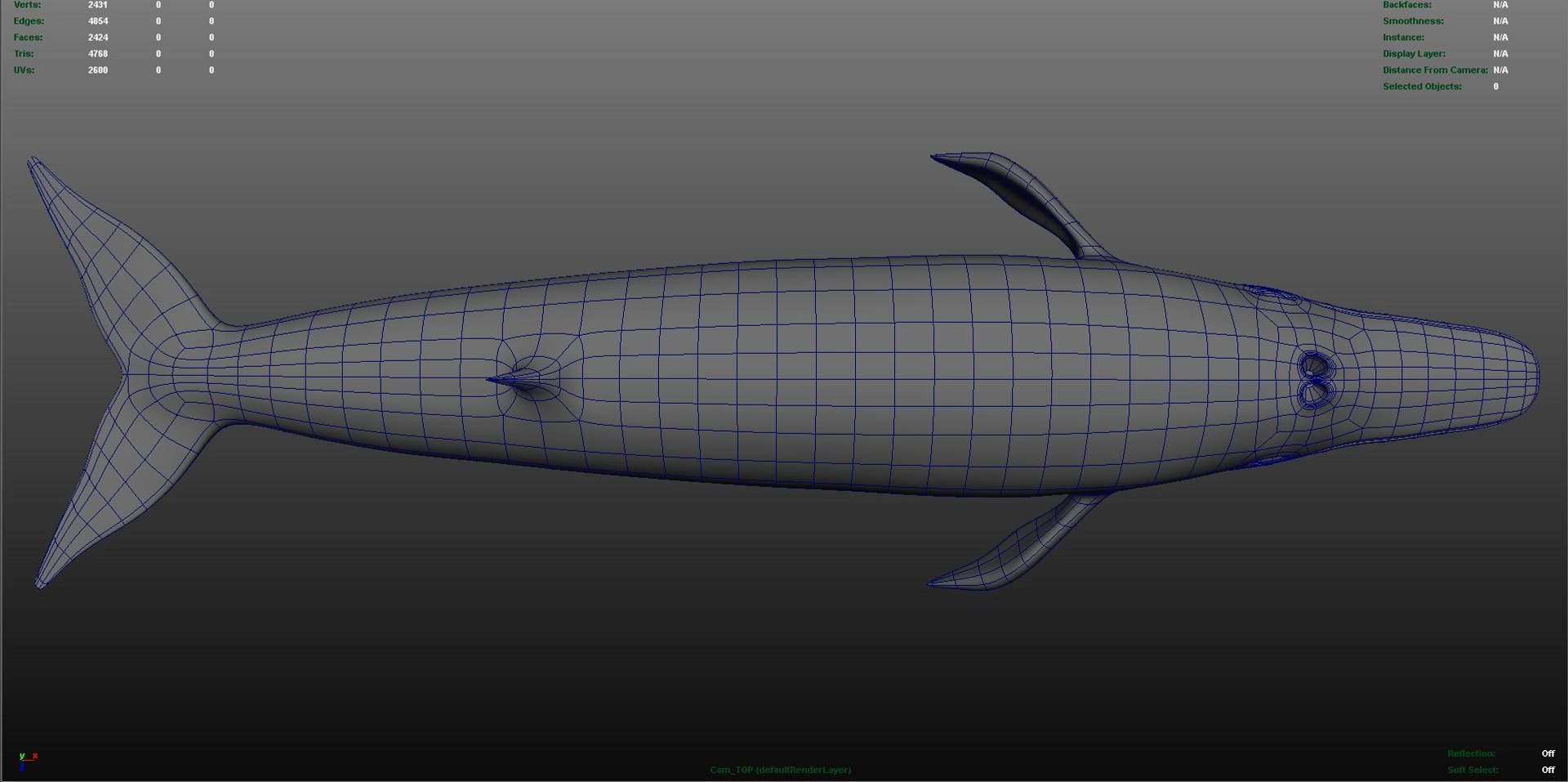 Balaenoptera Whale Fin 3d Model