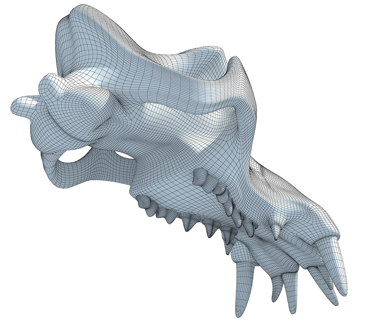 3D hippo skull skeleton - TurboSquid 1177873