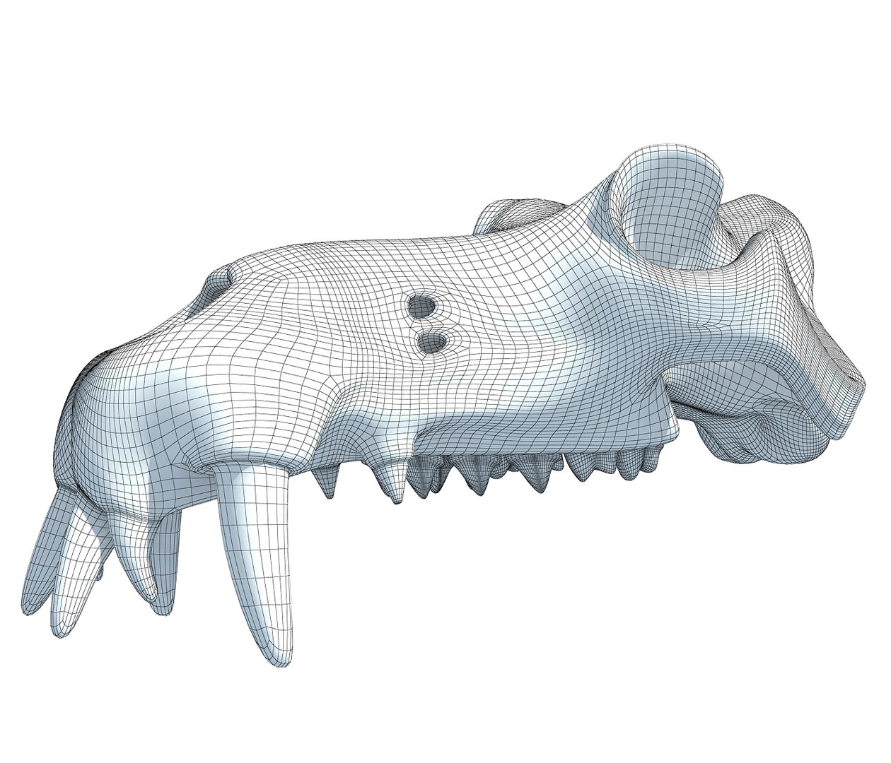 3D hippo skull skeleton - TurboSquid 1177873