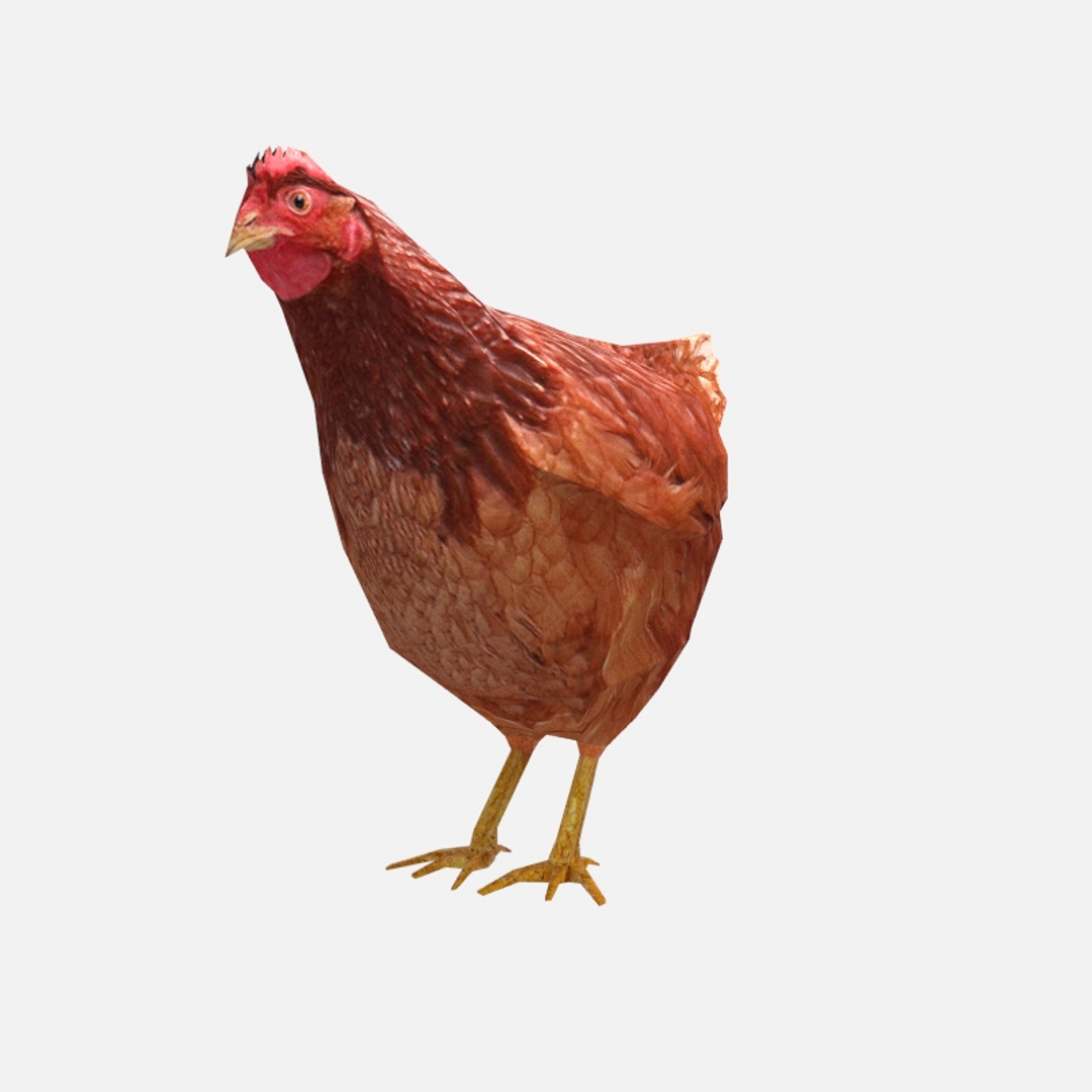 Chicken 3d 3ds