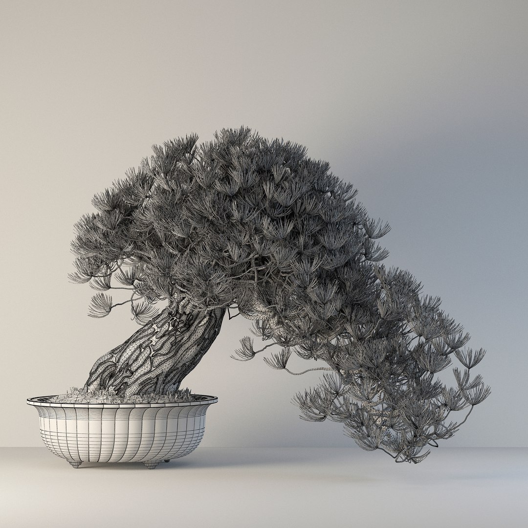 3d Bonsai Tree Model