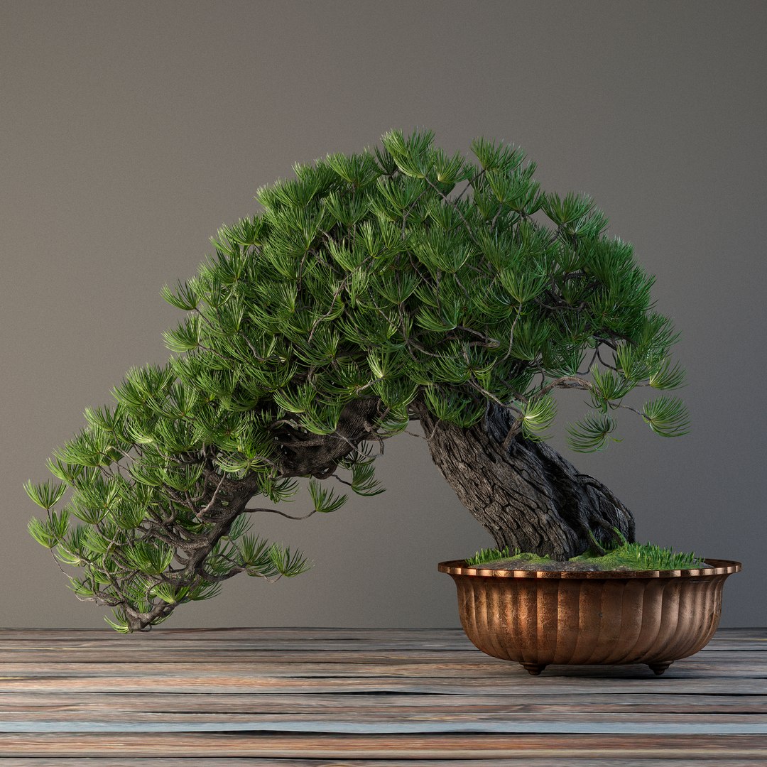 3d Bonsai Tree Model