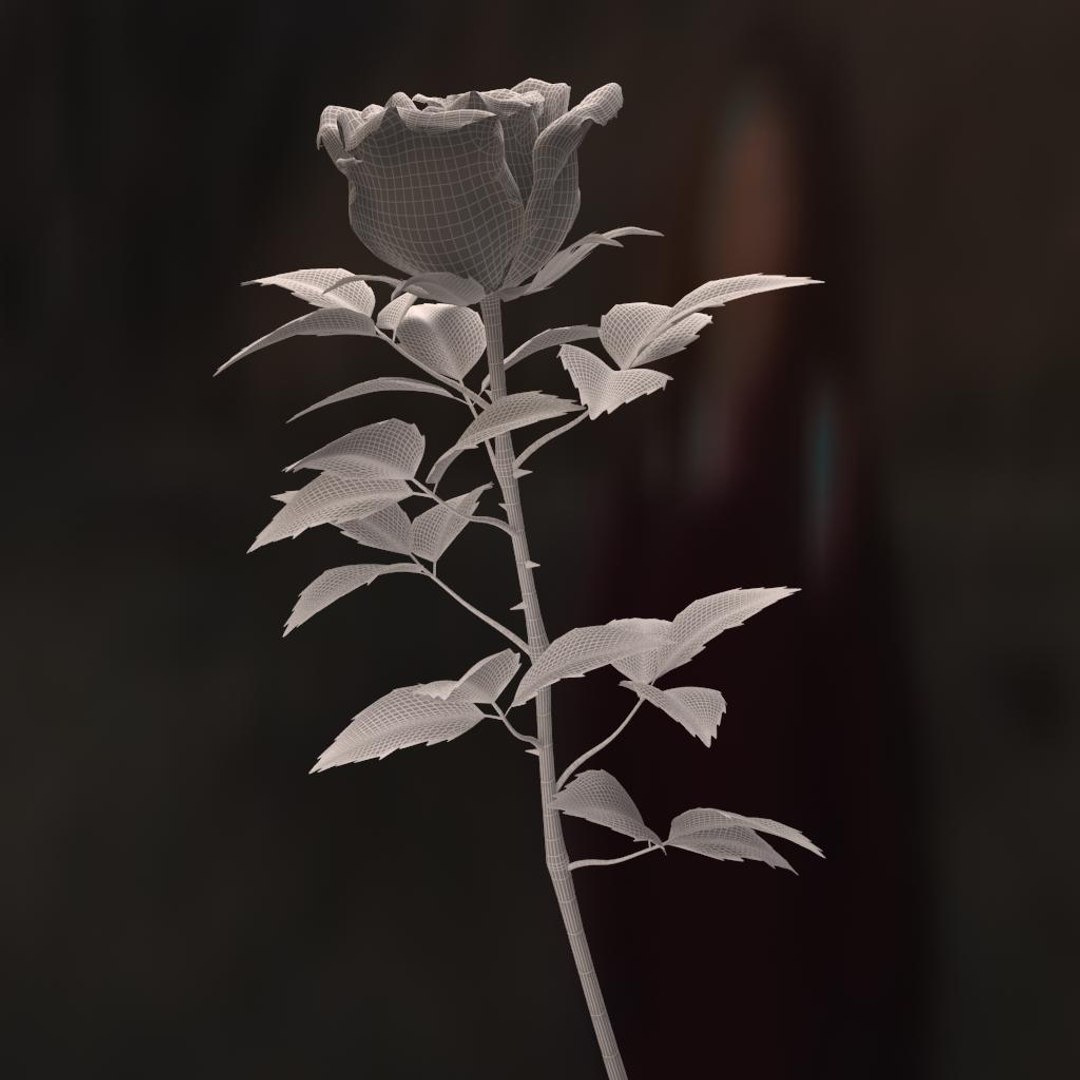 3d rose white model