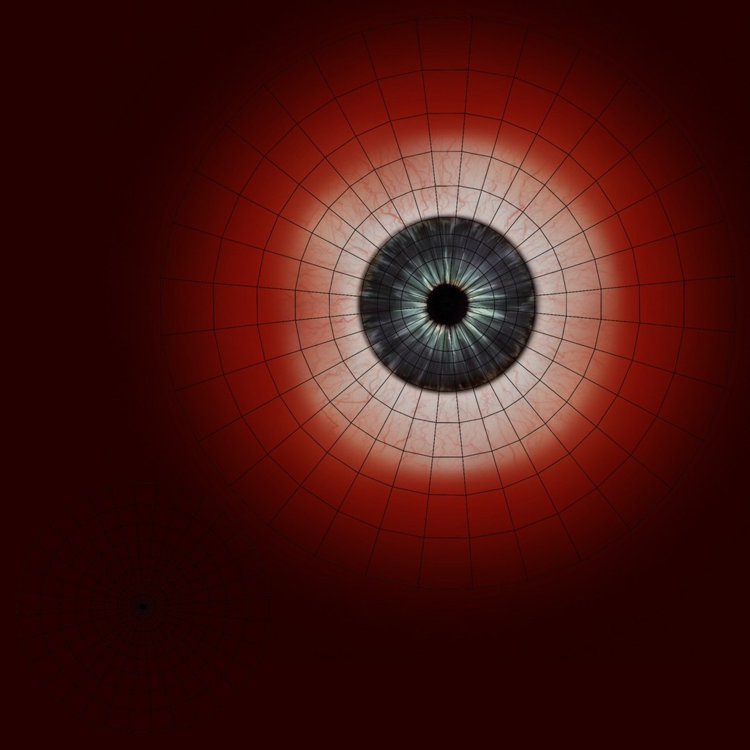 3D model Little Goose Animation - TurboSquid 2071231