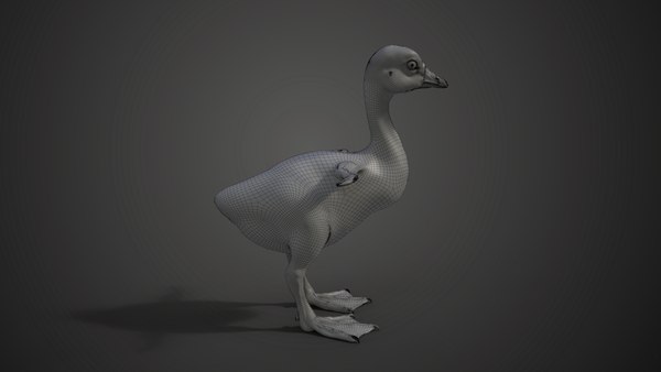 modelo 3d Little Goose Animation - TurboSquid 2071231