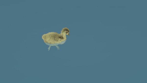 modelo 3d Little Goose Animation - TurboSquid 2071231