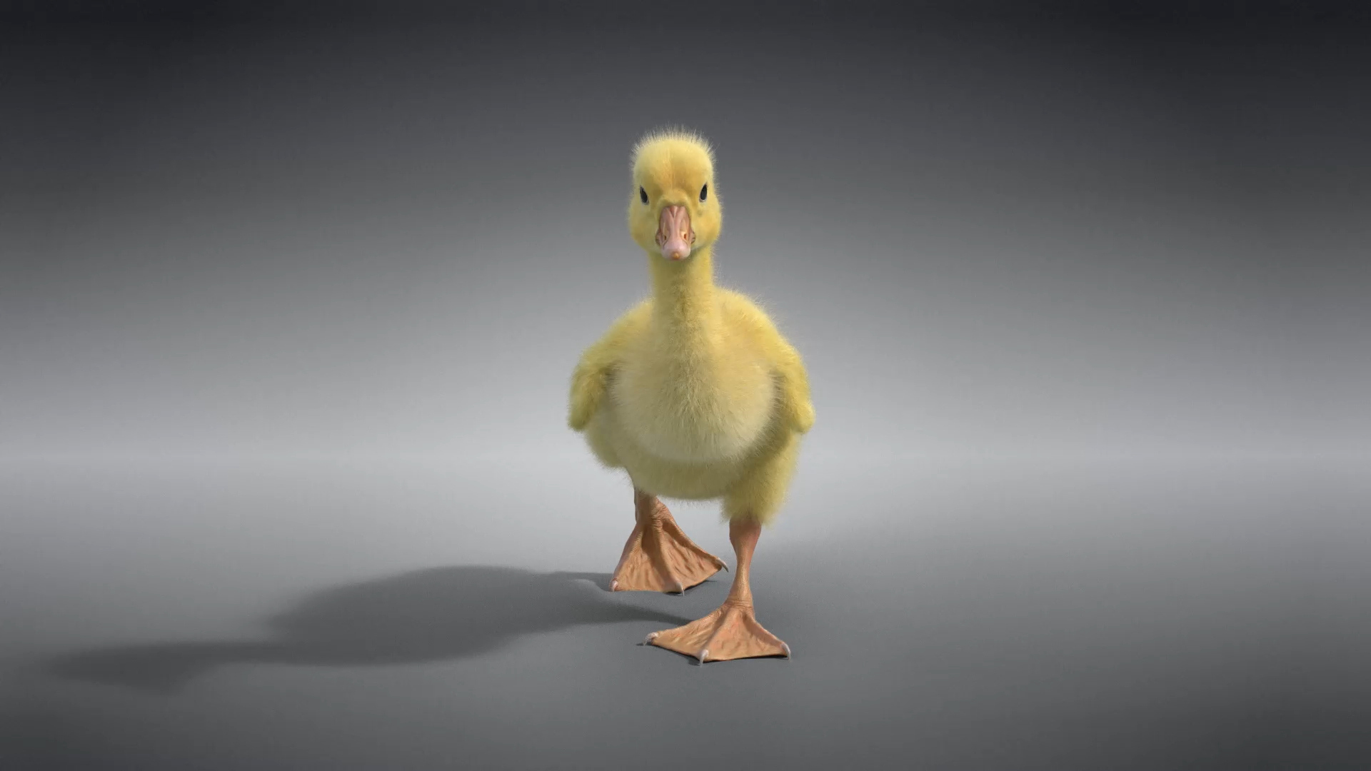 3D Model Little Goose Animation - TurboSquid 2071231