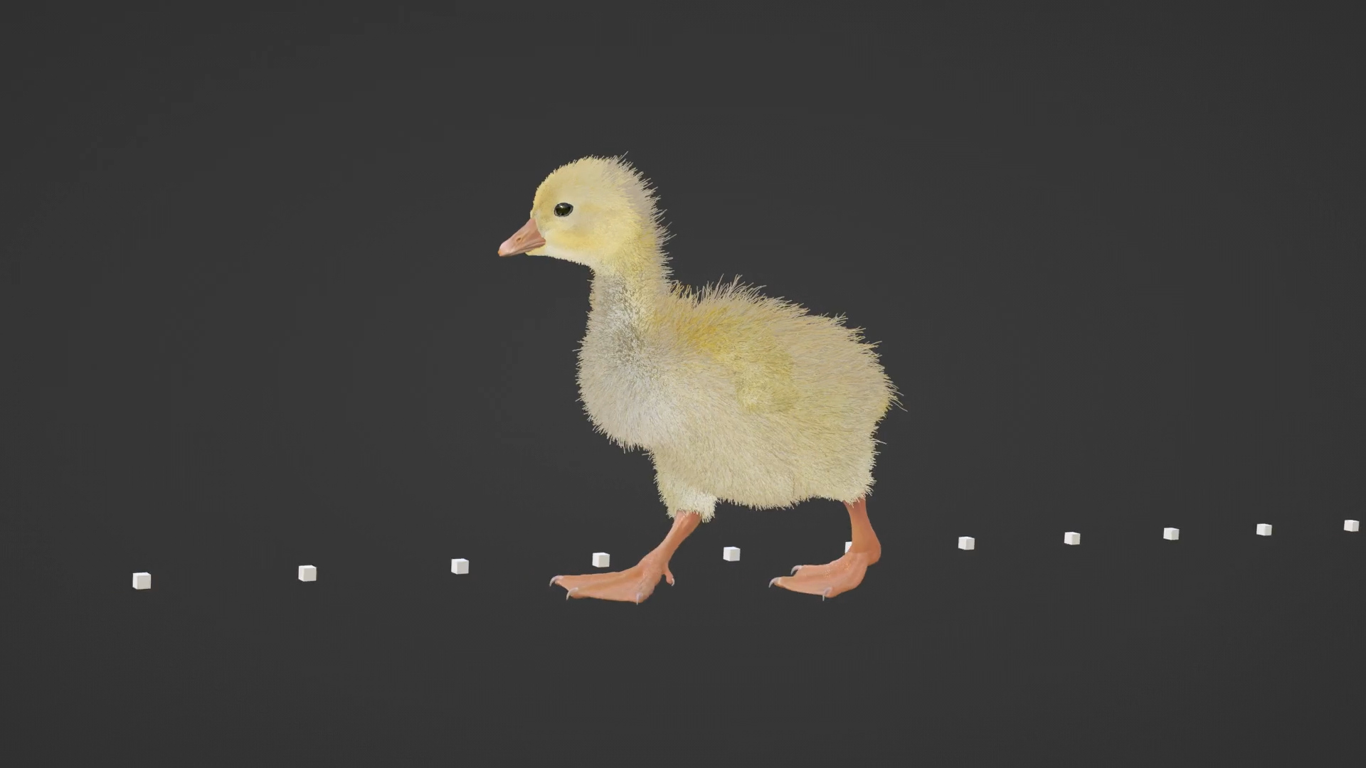 3D model Little Goose Animation - TurboSquid 2071231