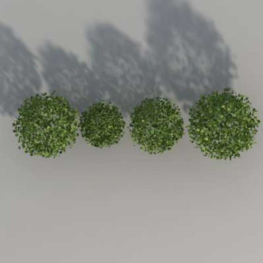 3d Tree Architectural Model