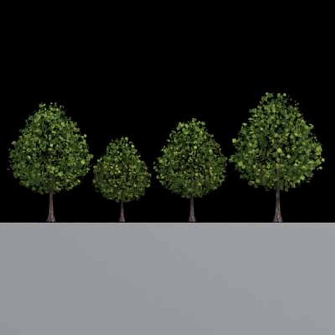 3d Tree Architectural Model