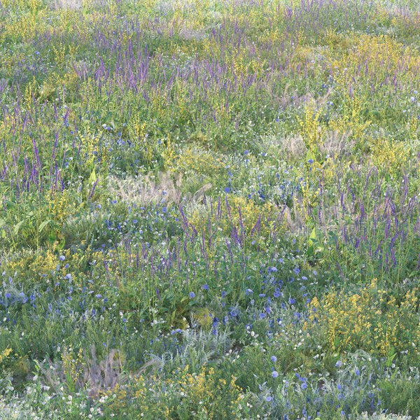 Meadow 3D Models for Download | TurboSquid