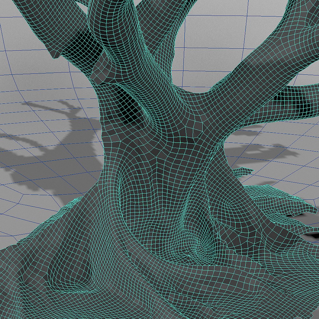 Australian Fig Tree Scanned 3d Model