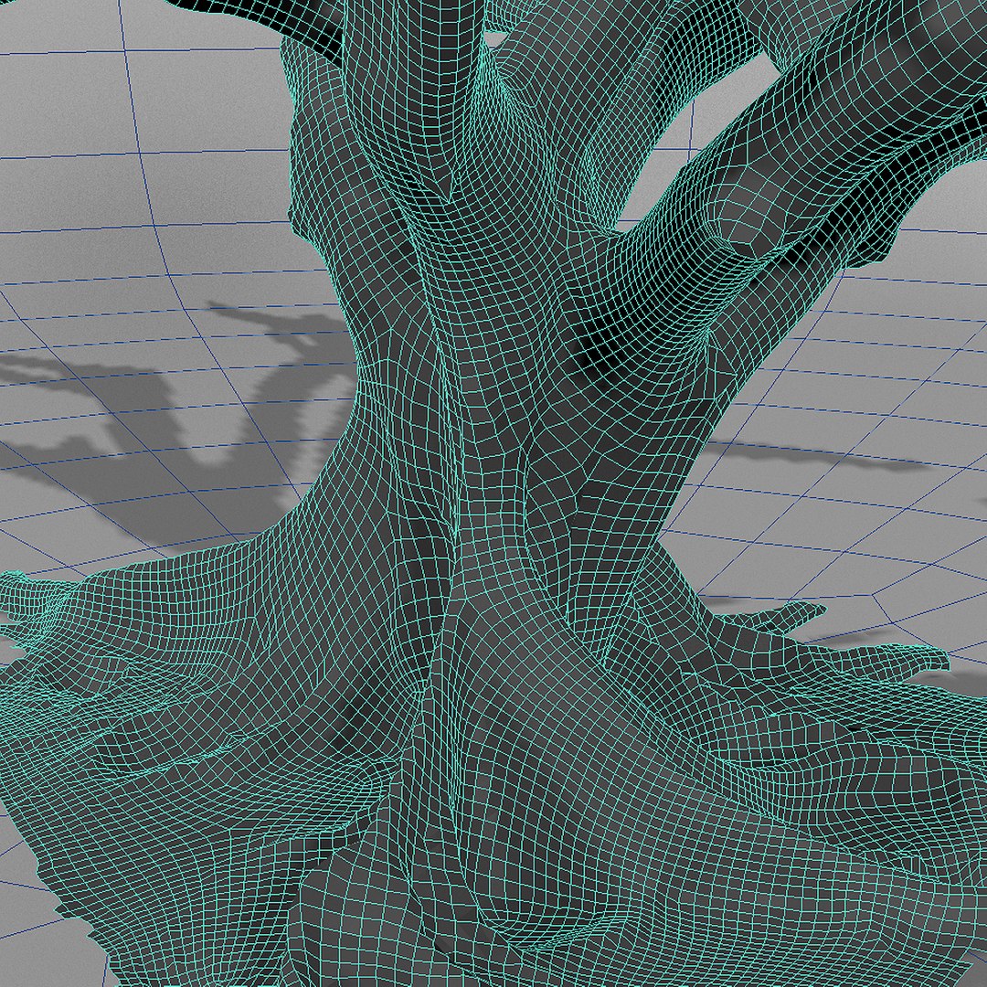 Australian Fig Tree Scanned 3d Model