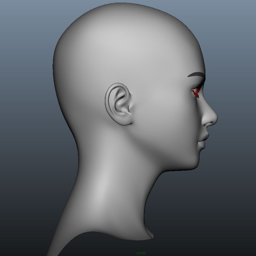 3d Girl Head Model