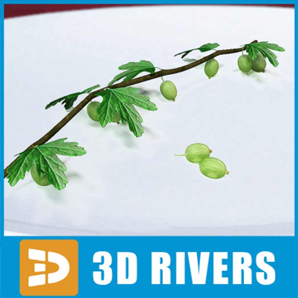 Gooseberry 3D Models for Download | TurboSquid