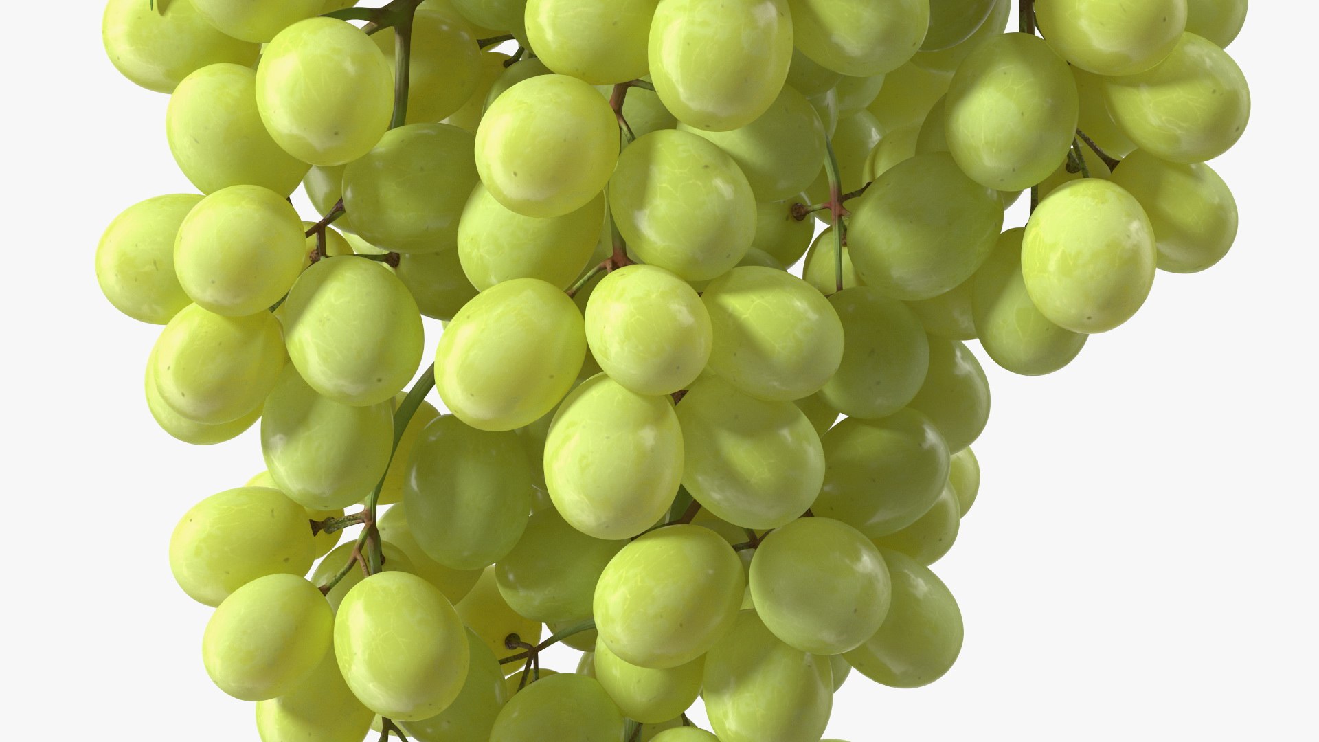 Green Sultana Grape Cluster Model - TurboSquid 2179081