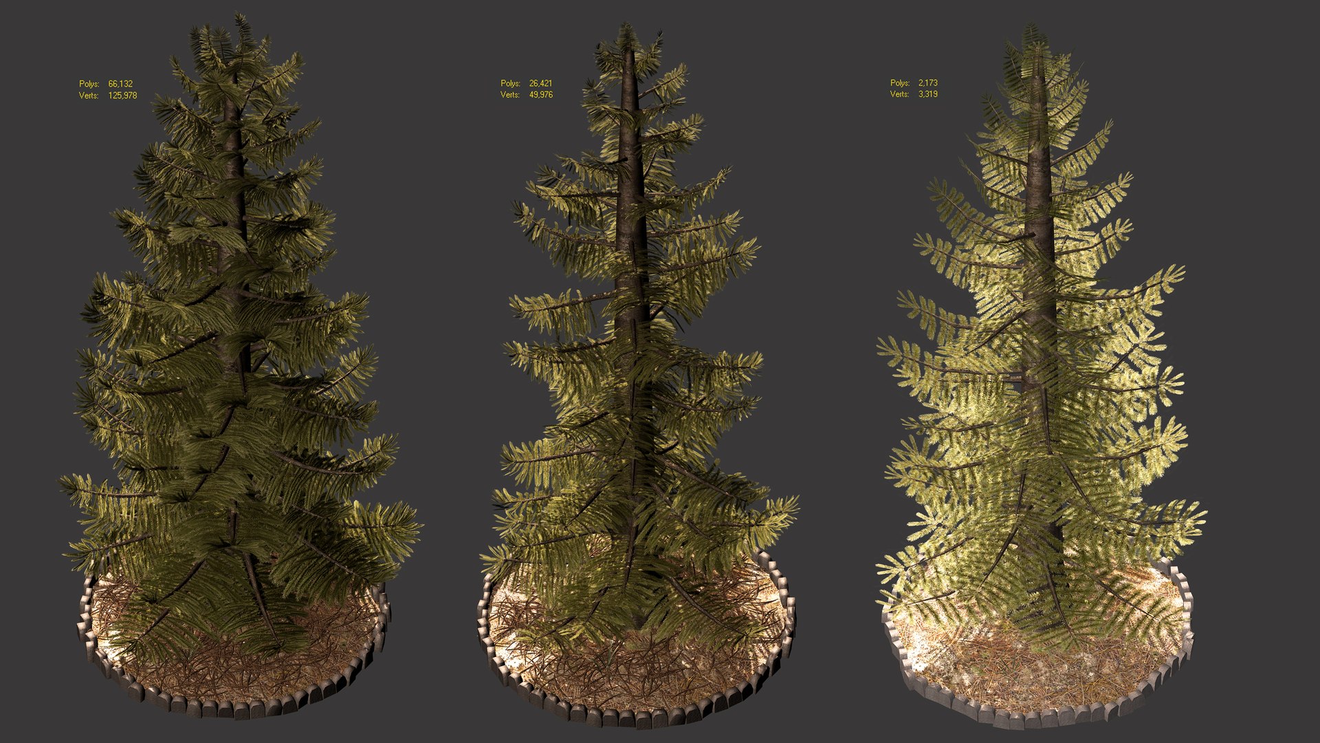Pine Trees 3d Model