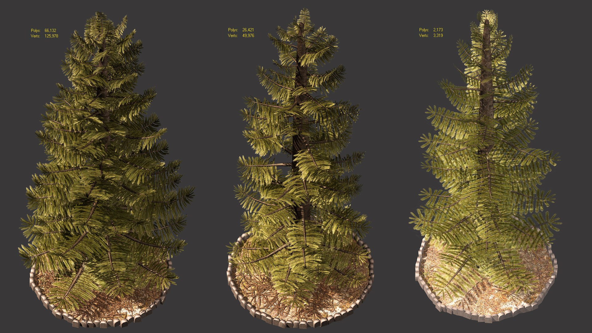 Pine Trees 3d Model