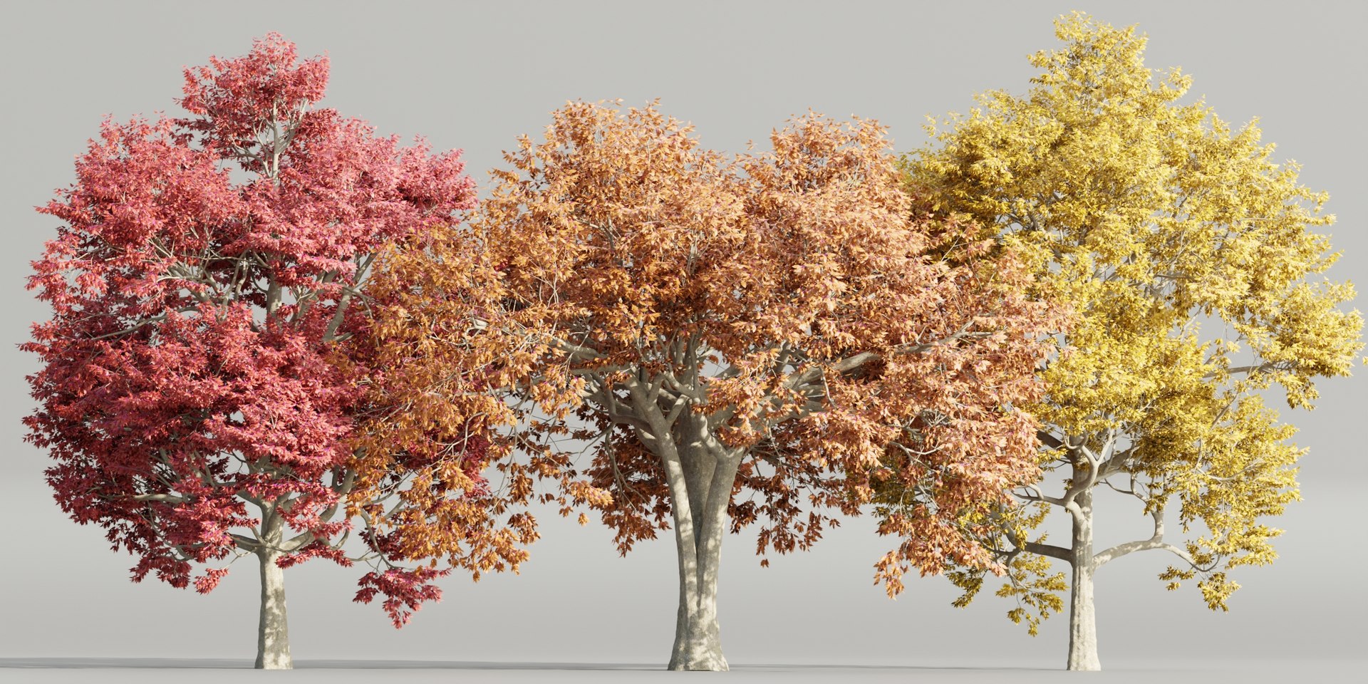 Autumn Maple Trees Collection vol 147-Blender 3D - TurboSquid 2149277