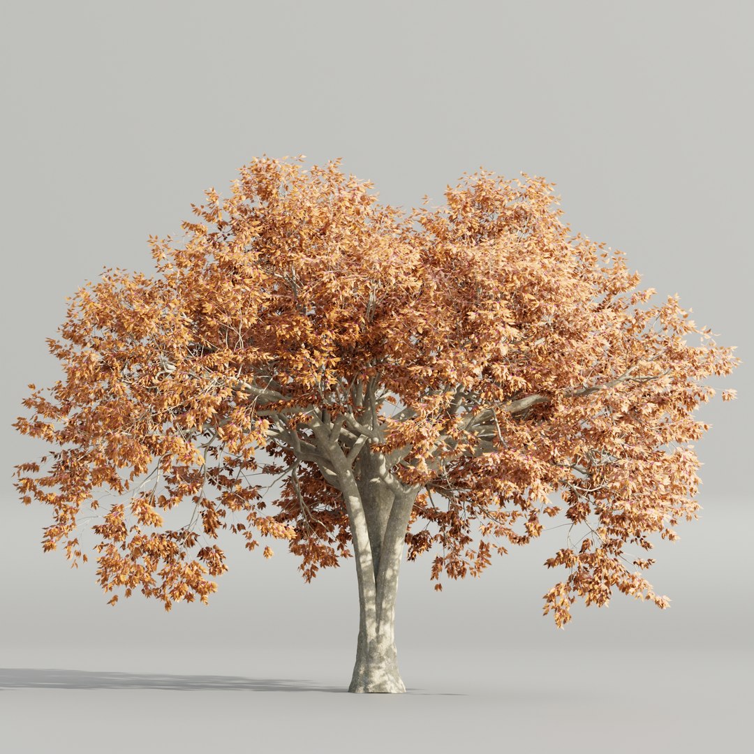 Autumn Maple Trees Collection vol 147-Blender 3D - TurboSquid 2149277