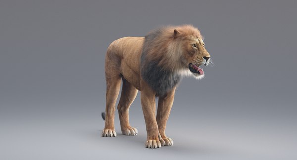 Löwe animiert (Fell) 3D-Modell - TurboSquid 1345634