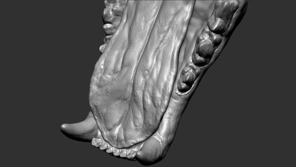 modelo 3d Snow Leopard Panthera uncia VFX Ultra Cinematic Realistic ...