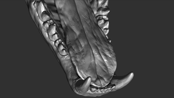 modelo 3d Snow Leopard Panthera uncia VFX Ultra Cinematic Realistic ...