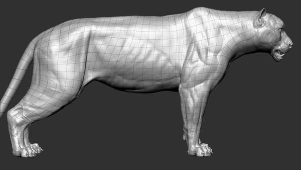 modelo 3d Snow Leopard Panthera uncia VFX Ultra Cinematic Realistic ...