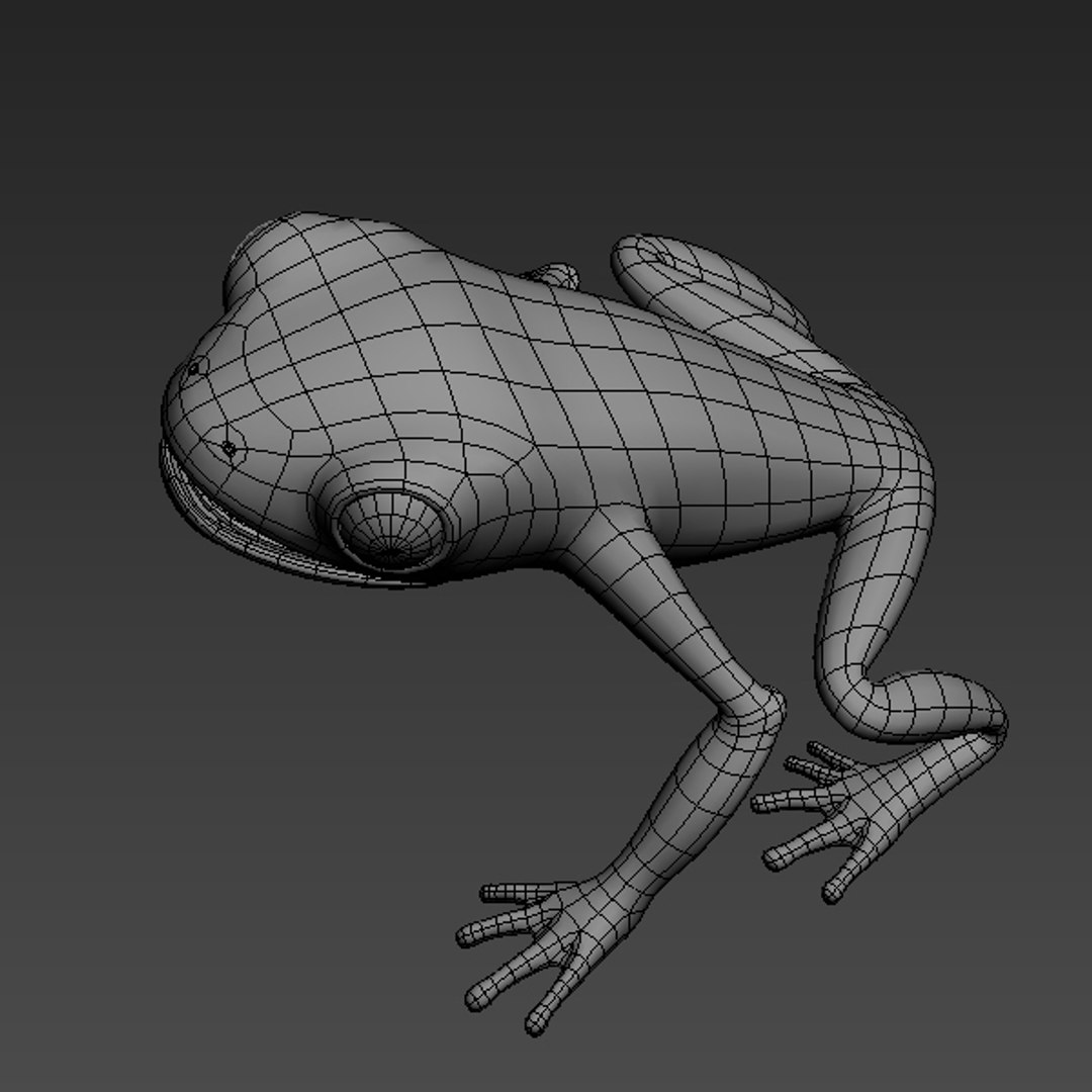 3d tree frog