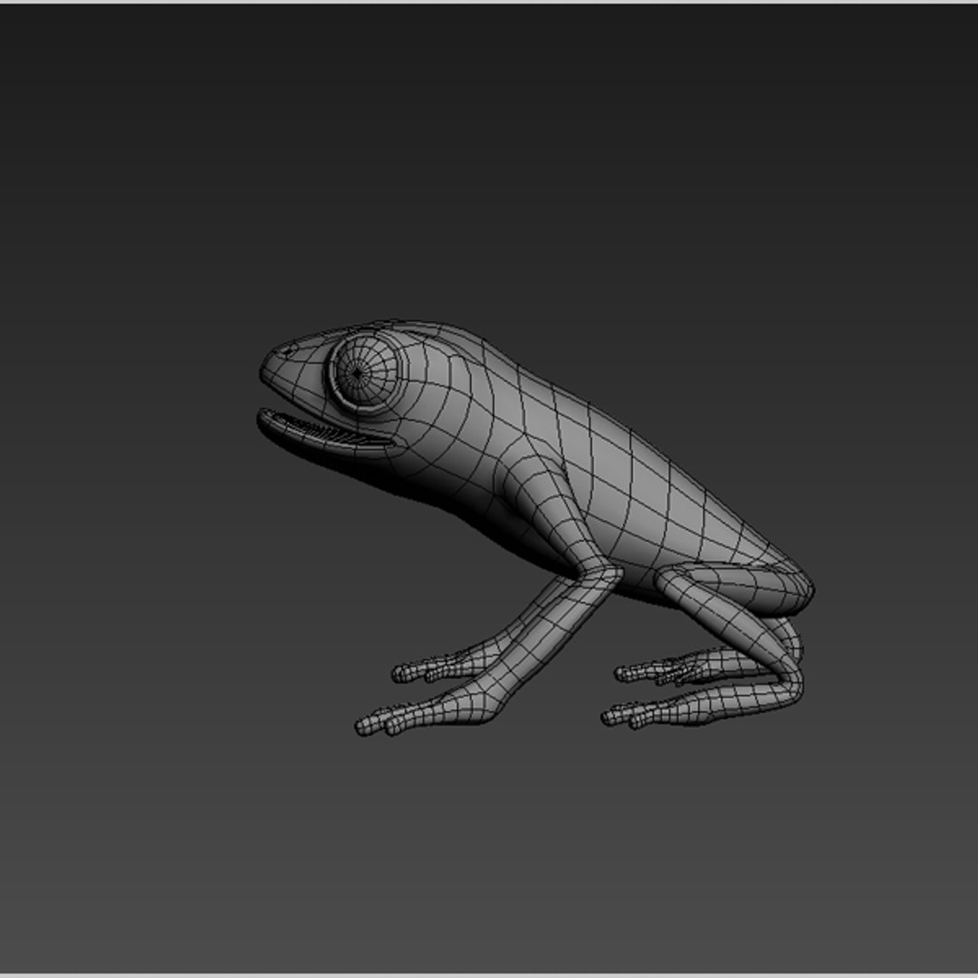 3d tree frog