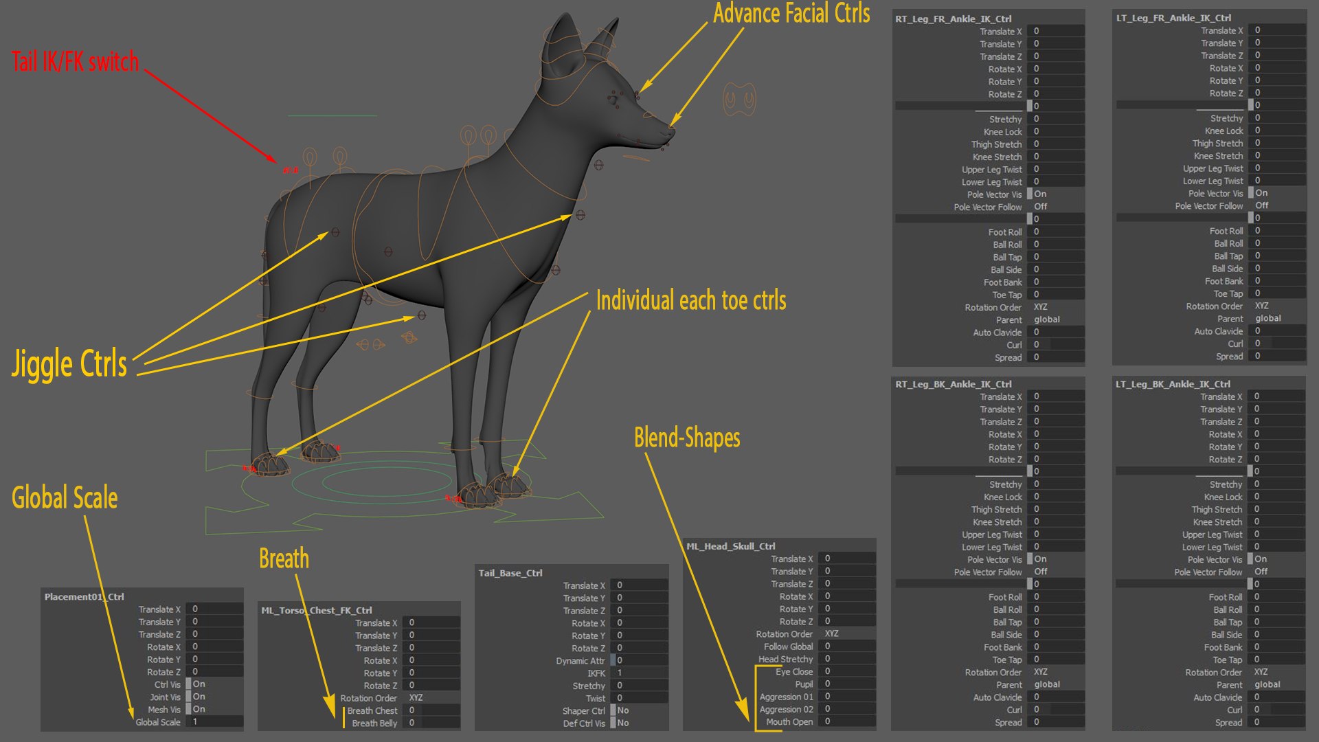 Black Backed Jackal Animated Xgen 3D - TurboSquid 2204951