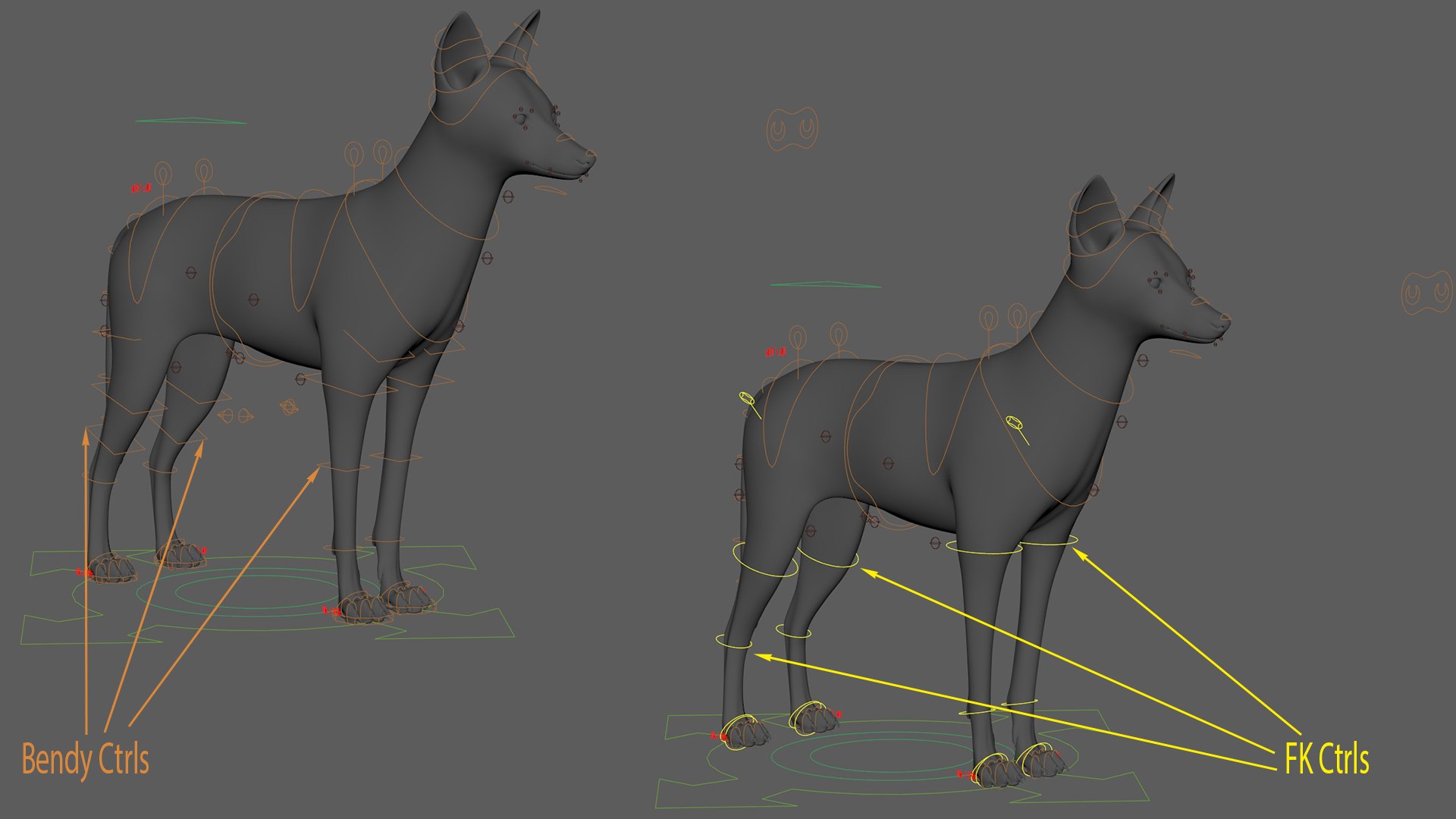 Black Backed Jackal Animated Xgen 3D - TurboSquid 2204951