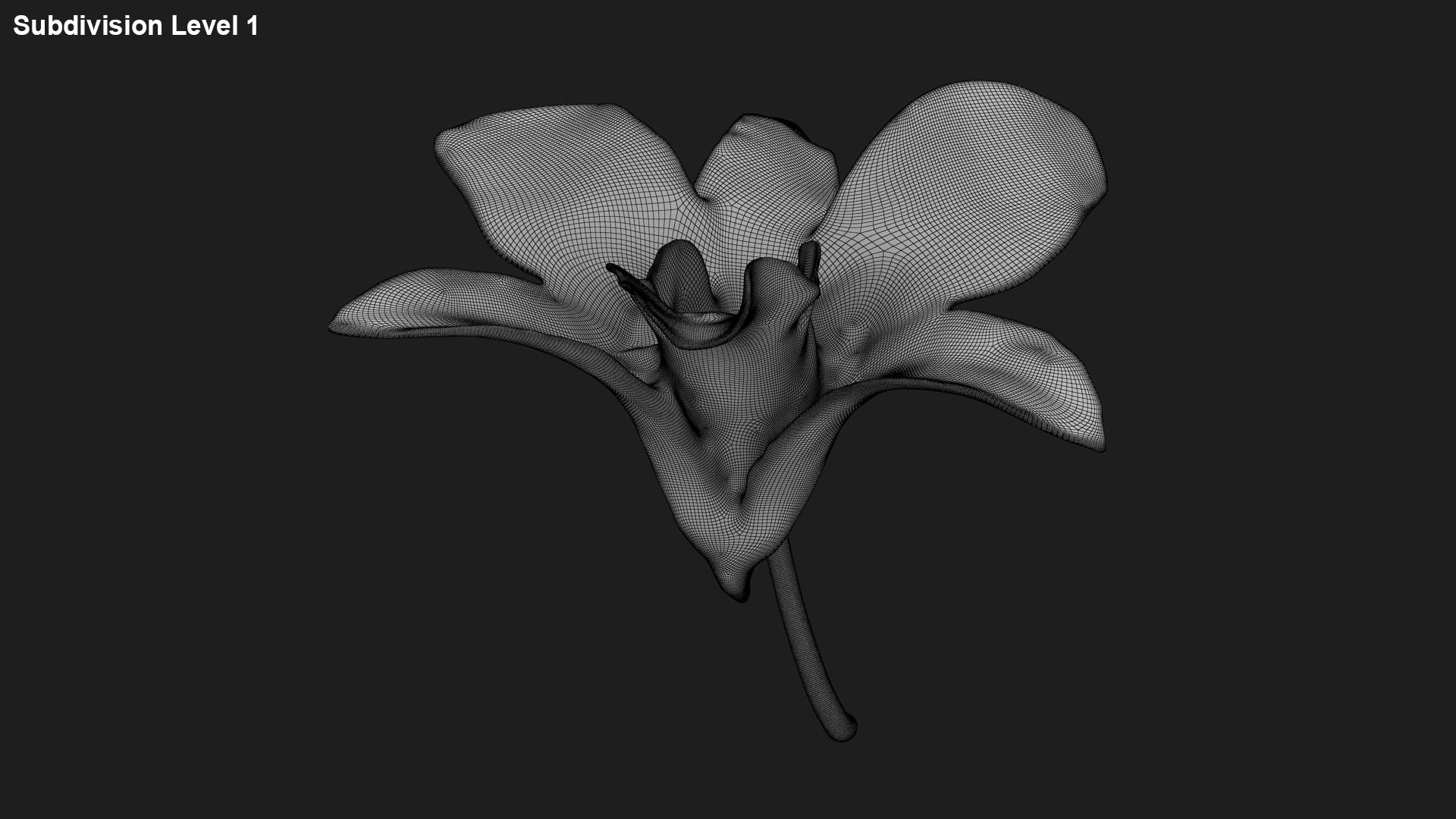 Dendrobium Sonia Purple Orchid 3D Model - TurboSquid 2280679