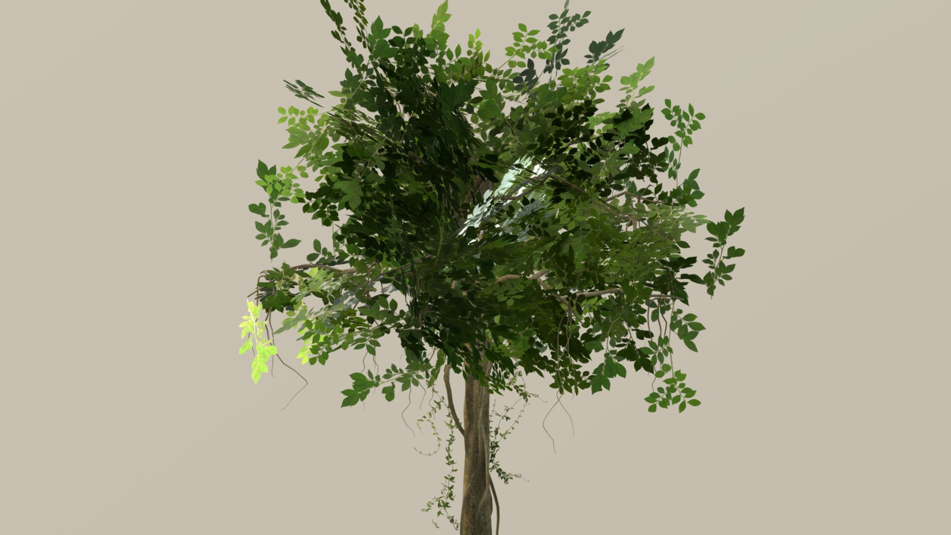 3D Jungle Tree model - TurboSquid 2072733