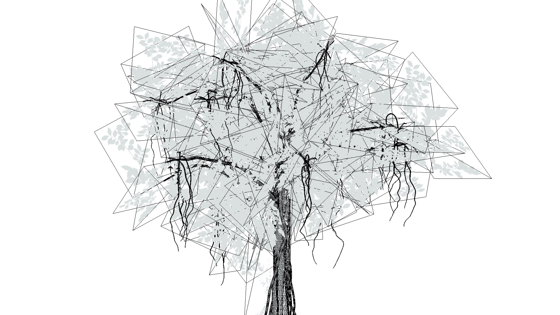 3D Jungle Tree model - TurboSquid 2072733