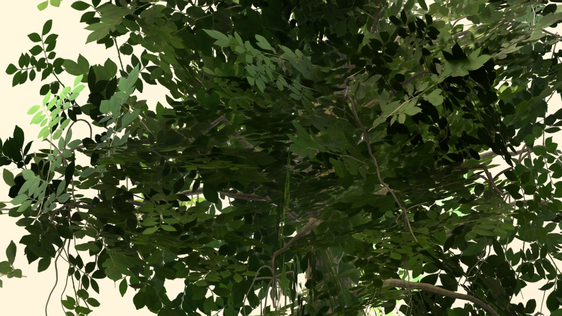 3D Jungle Tree model - TurboSquid 2072733