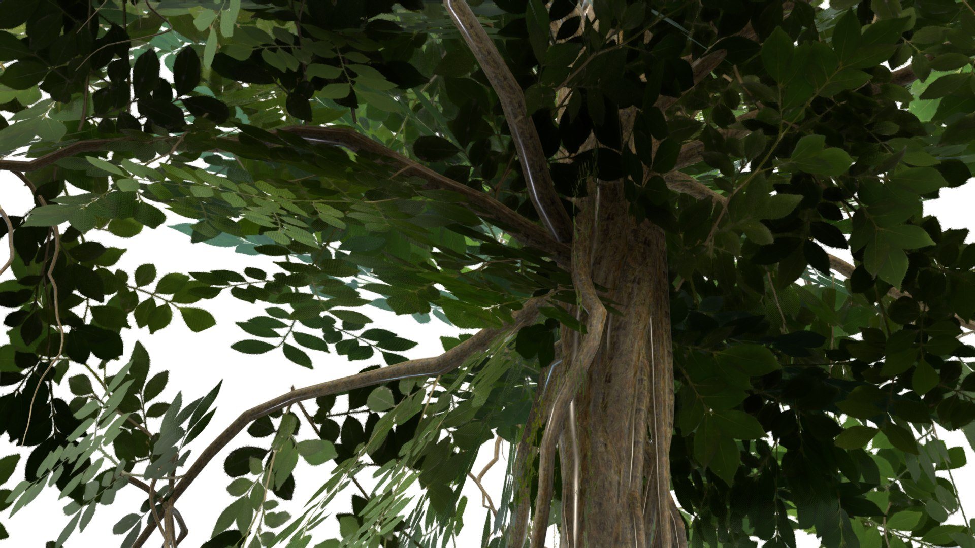 3D Jungle Tree model - TurboSquid 2072733