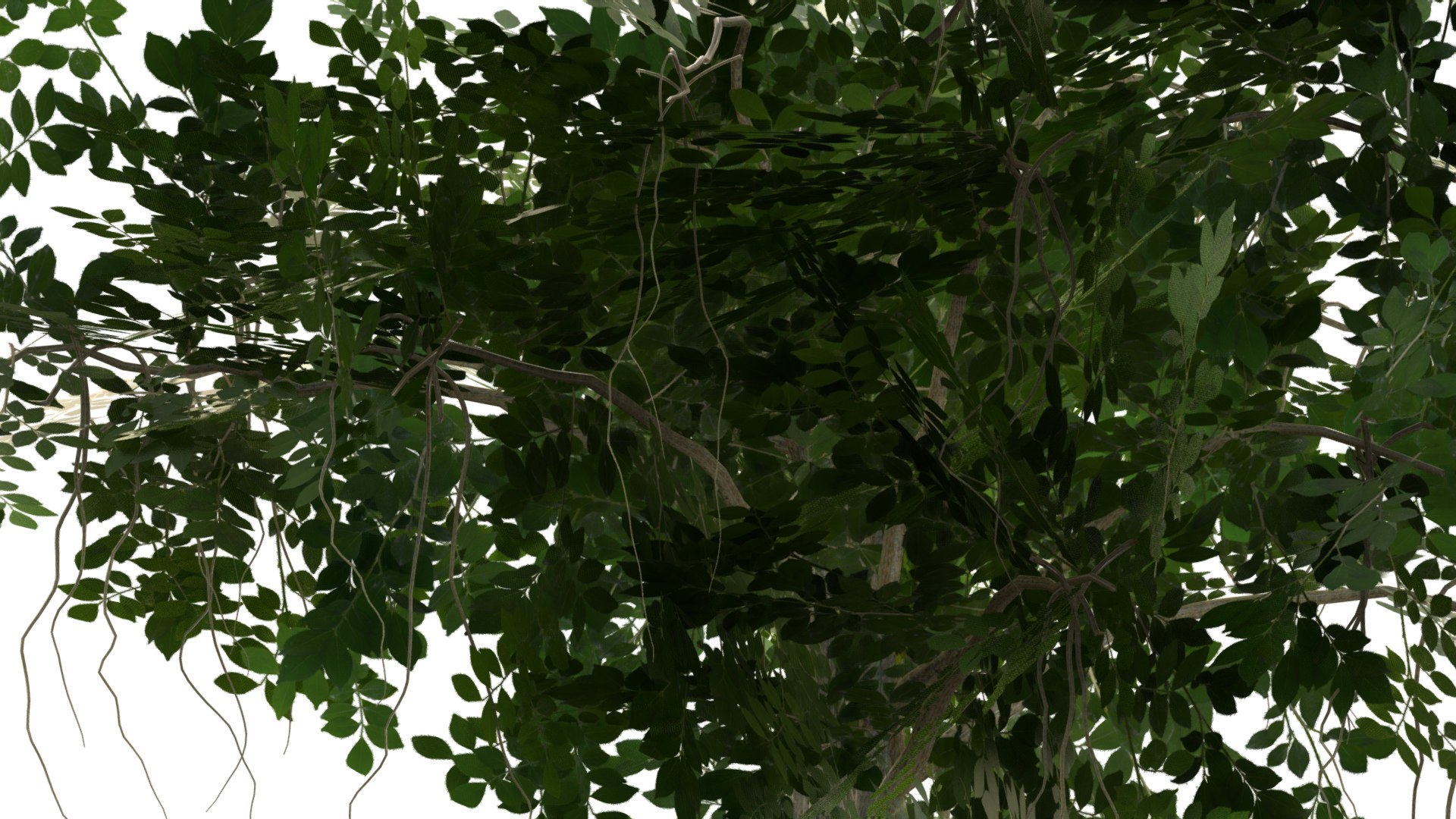 3D Jungle Tree model - TurboSquid 2072733