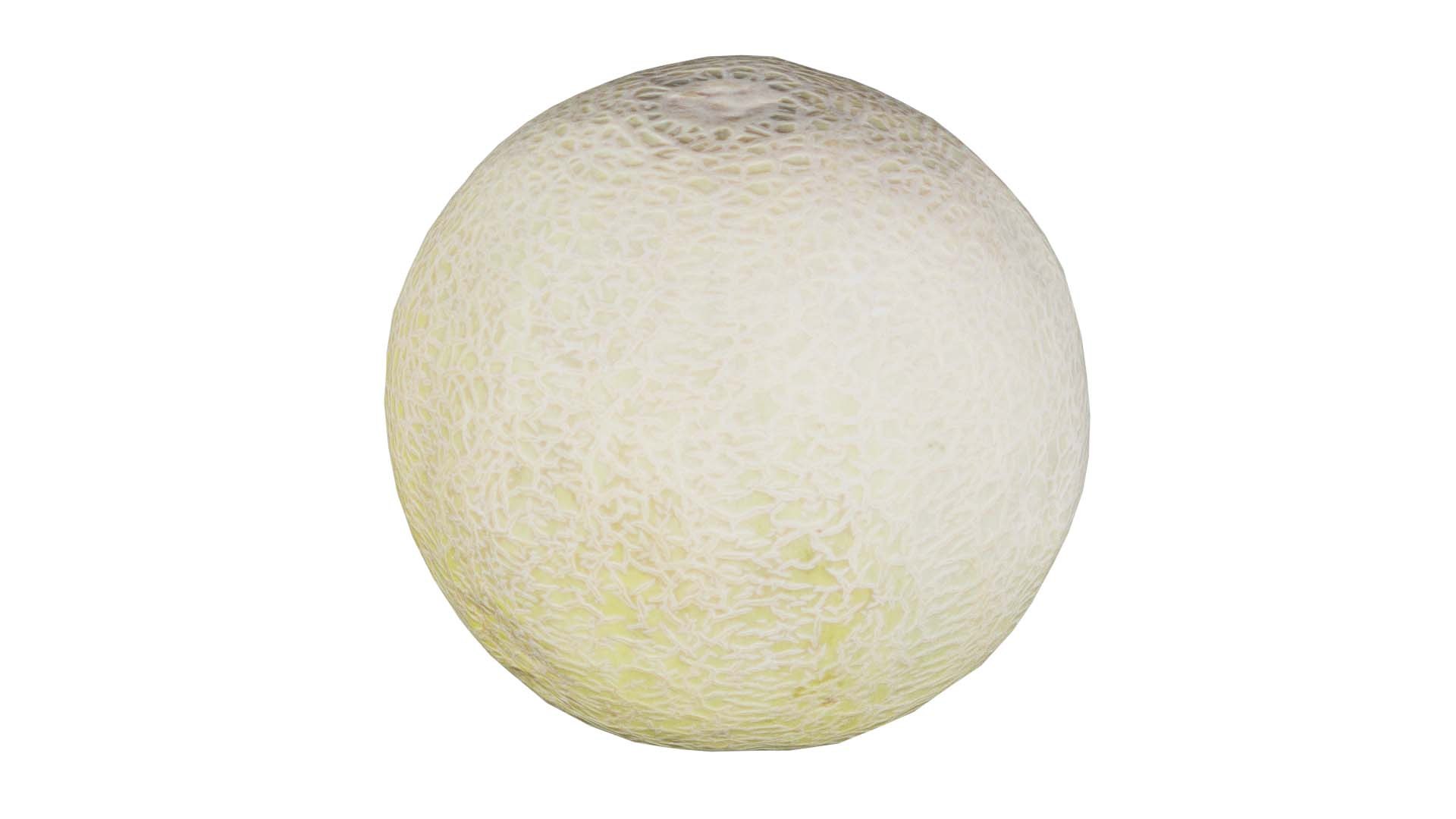 Melon Remastered 3D - TurboSquid 2362371