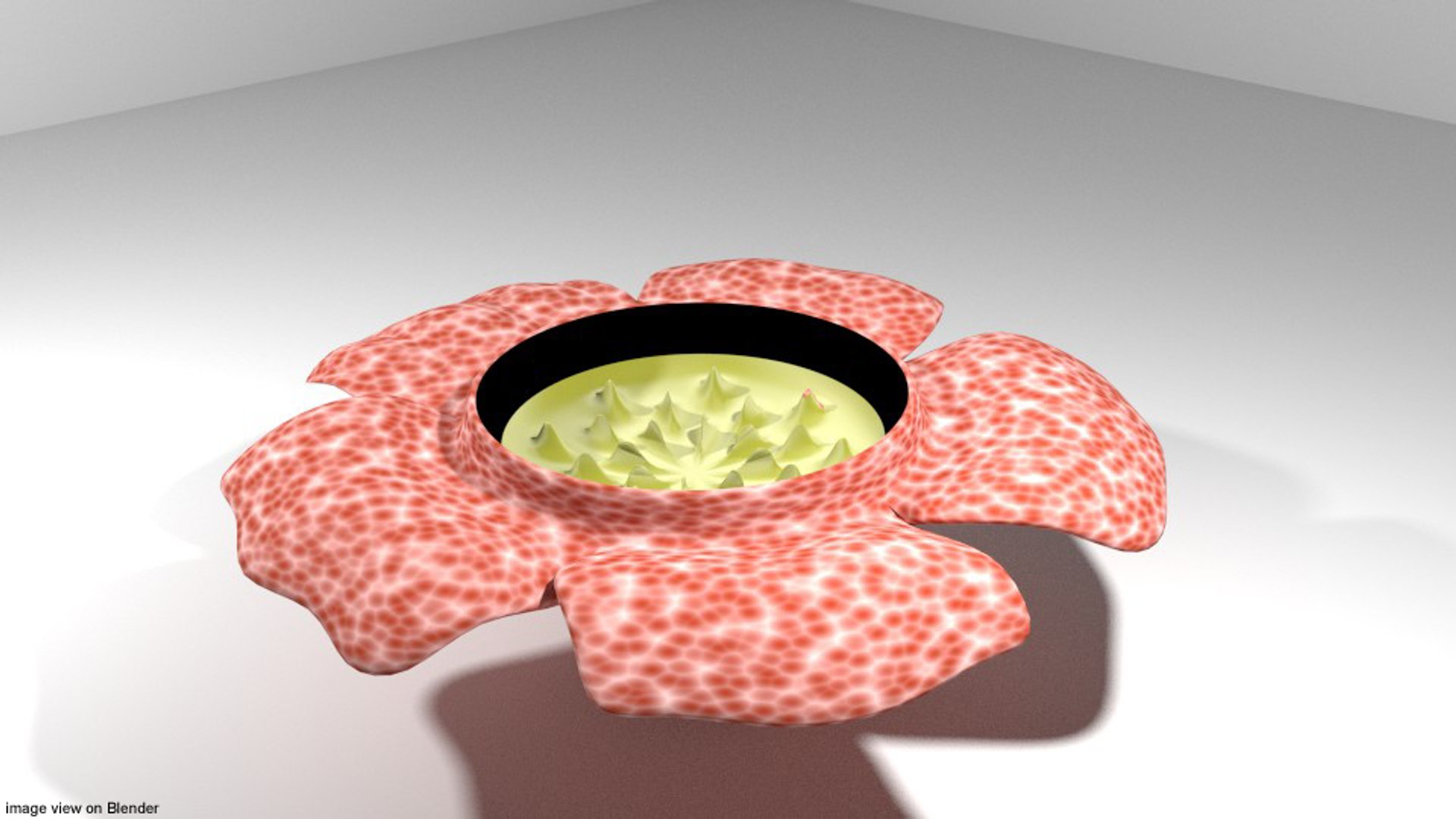Flower Rafflesia 3D Model - TurboSquid 1180241