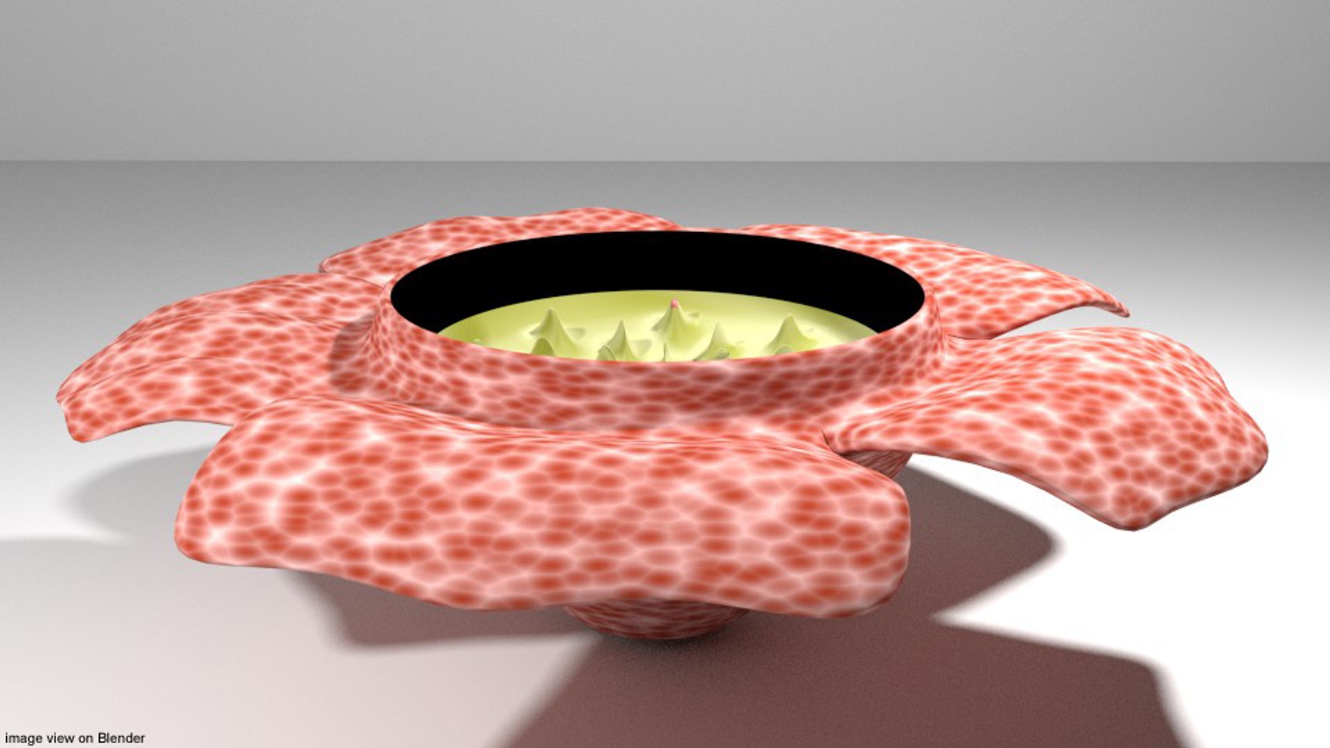 Flower Rafflesia 3D Model - TurboSquid 1180241