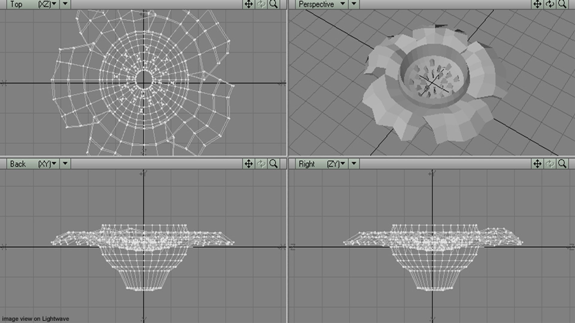 Flower Rafflesia 3D Model - TurboSquid 1180241
