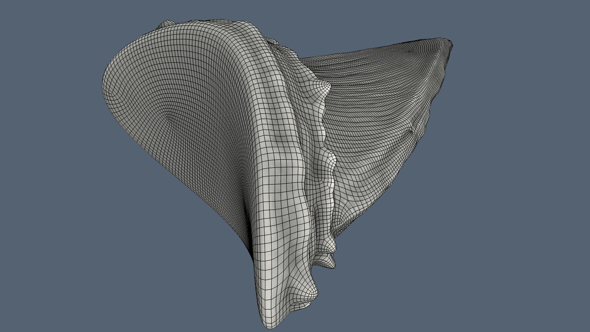3d model shark tooth