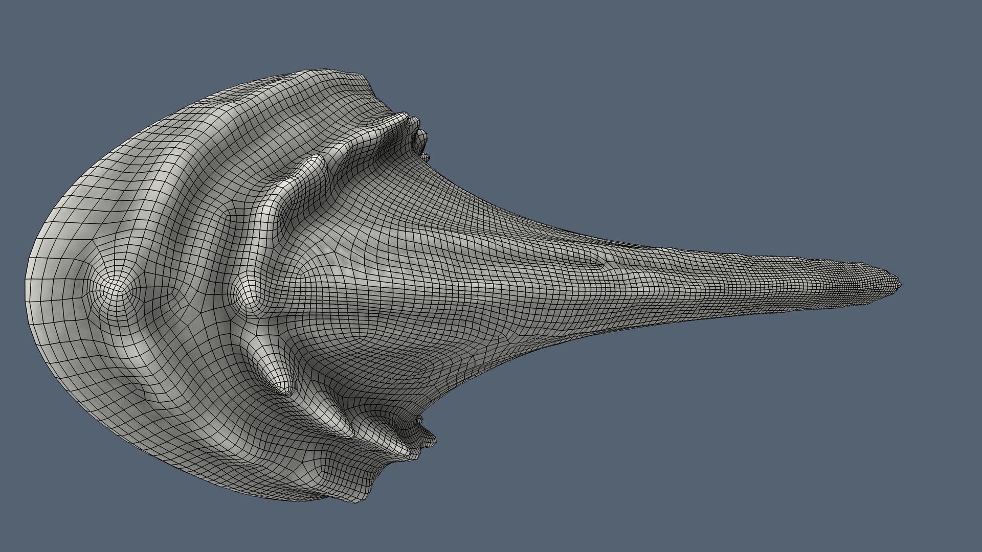 3d model shark tooth