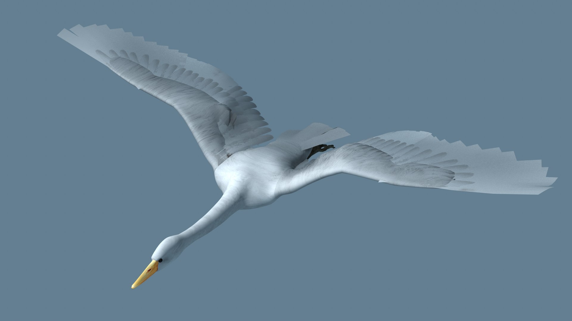 Swan 3D - TurboSquid 2191096
